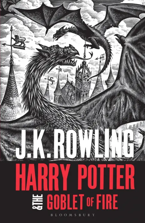 Harry potter the goblet of fire store